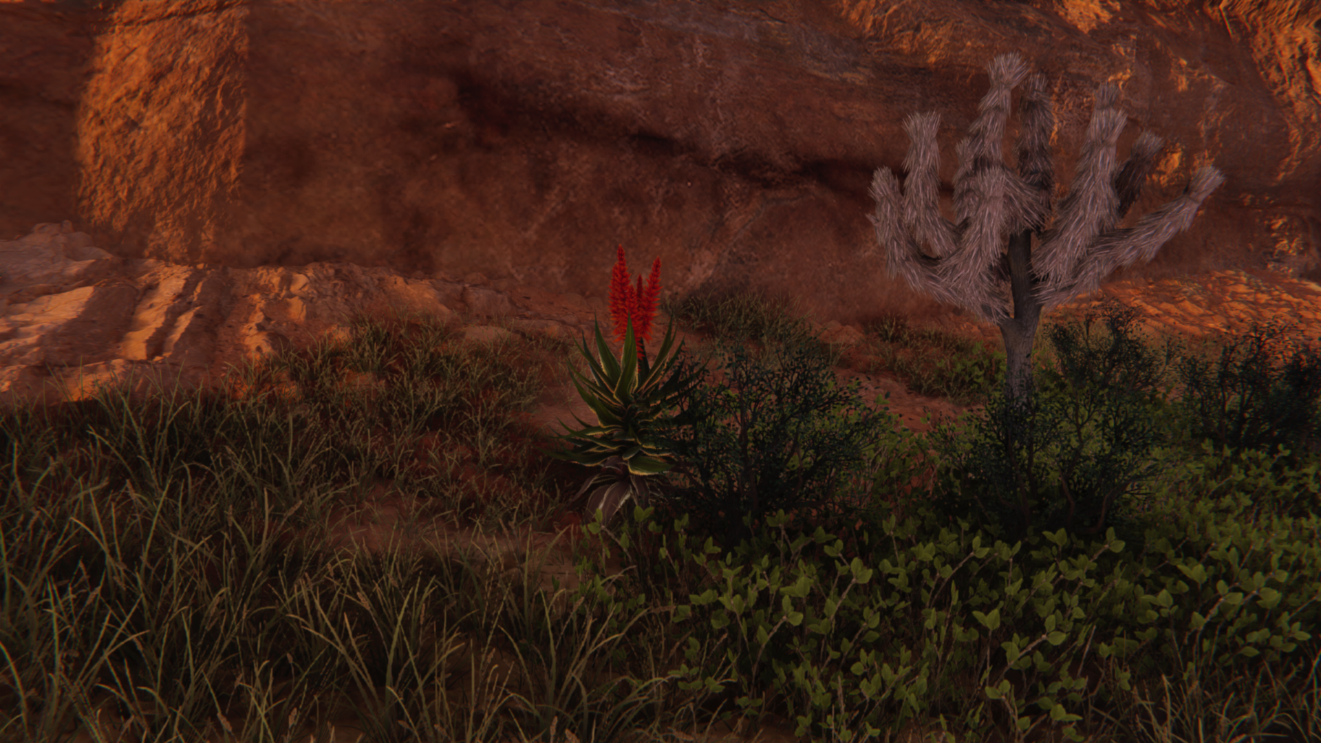 Once Human: So bekommt ihr Aloe Vera